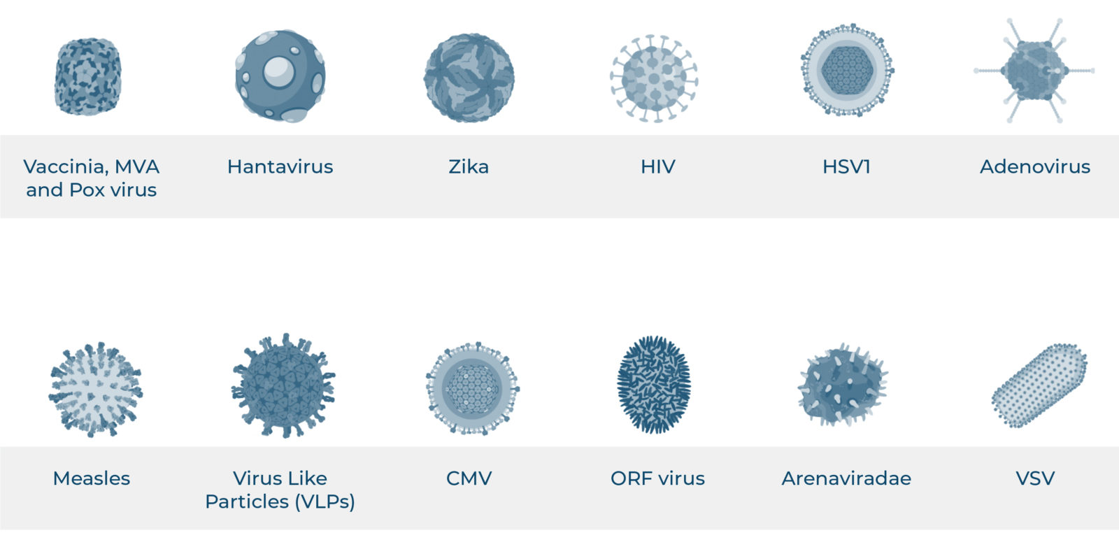 Portfolio - ABL Biomanufacturing