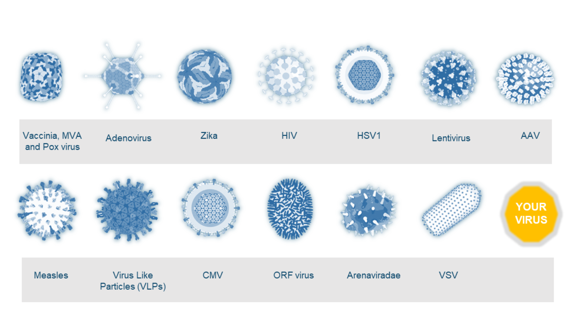 Viral Vectors Portfolio - ABL Biomanufacturing